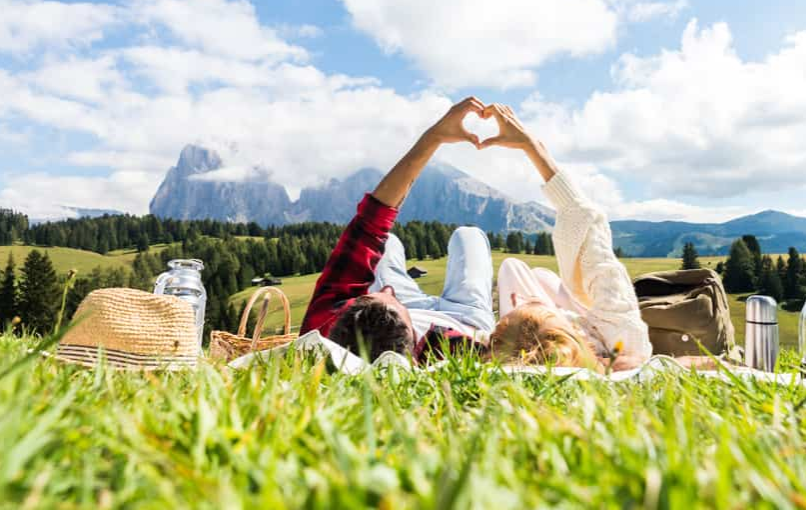 The Ultimate Guide to Cattery in Sunshine Coast - Nancy Shevell